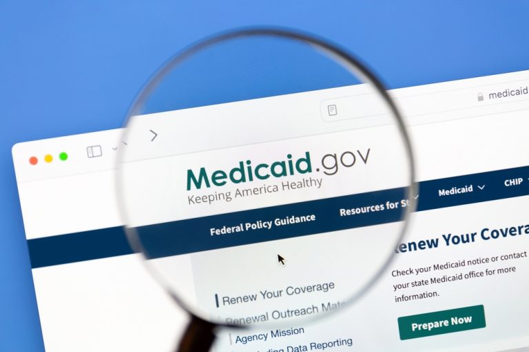 Michigan Medicaid: A primer